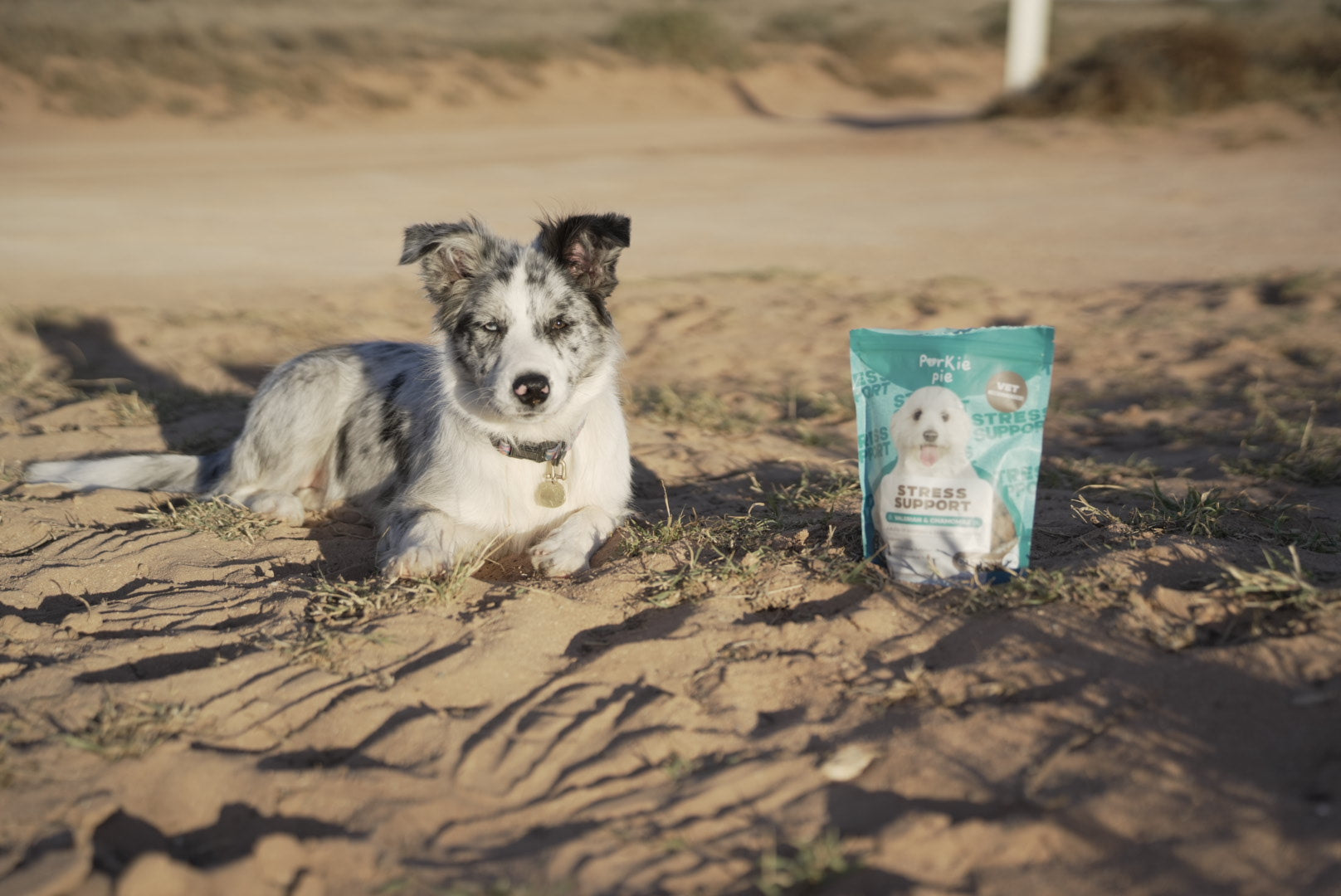 What is Taurine and Why Does Your Dog Need It? | Porkie Pie