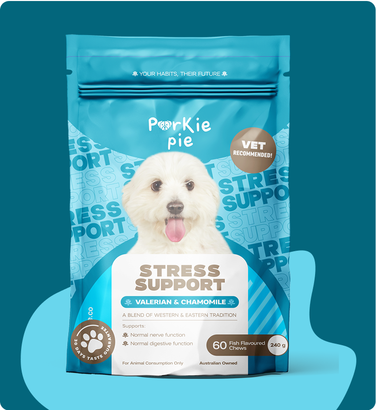 Anxiety Medication for Dogs | Dog Calming Treats | Porkie Pie
